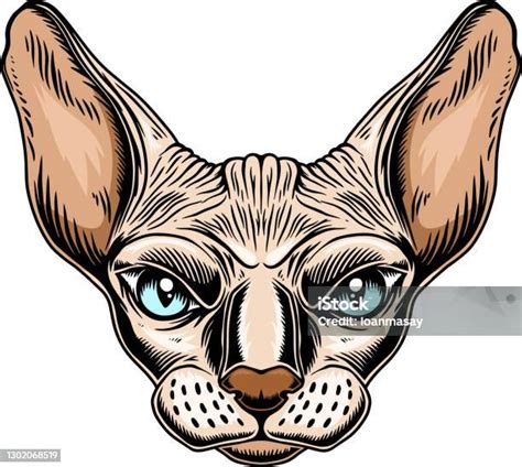 스피넥스 고양이 머리의 그림 포스터 카드 엠블럼 기호에 대한 디자인 요소 벡터 일러스트레이션 스핑크스헤어리스캣에 대한 스톡 벡터