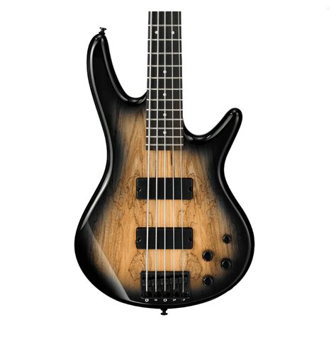 Ibanez Sr205sm Ngt 5 String Bass Guitar Natural Gray Burst Anthonys Music