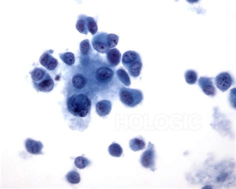 Expand All Collapse All