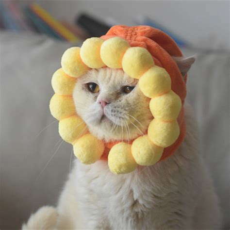 Badu Bg Сладка овча грива котешка перука шапка за кучета и котки малко куче домашен любимец