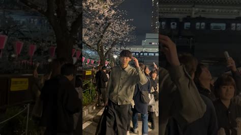目黒川の桜と芝公園の桜見てきたよ綺麗すぎた fyp 桜 目黒川桜 中目黒 桜巡り 芝公園 芝公園桜 YouTube