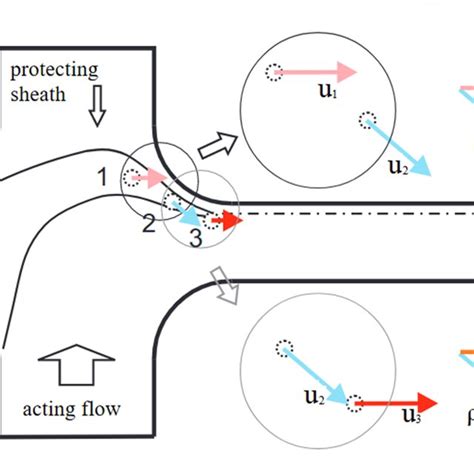The Structure Of Soft Inertial Separation 9 Download Scientific Diagram