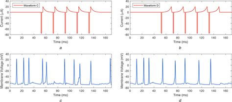 Asymmetric Biphasic Waveforms With Decaying And Rising Exponential