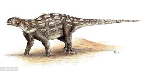Researchers Reveal How The Ankylosaurus Dinosaur Got Its Killer Tail