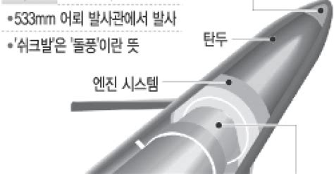 스텔스 미사일·고속어뢰이어 곧 위성발사 이란 맞아