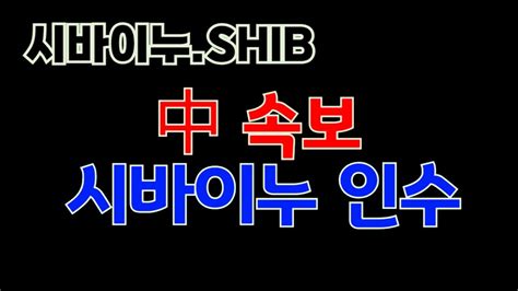 🔶시바이누 코인🔶 이제 중국 기업 된다 코인시세 비트코인하는법 가상화폐 비트코인 비트코인시세 이더리움시세 리플시세 리플전망 시바이누코인 Youtube