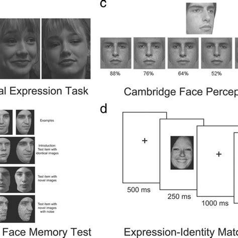 Summary Of Tasks Used A Films Facial Expression Task This Task