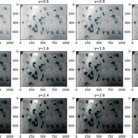 The Effect Of Gamma Correction On A Sample Image Download Scientific Diagram