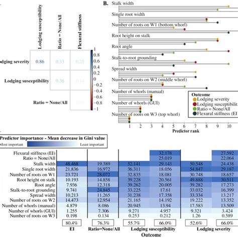Multiple Brace Root Phenotypes Are Associated With Root Lodging And Download Scientific Diagram