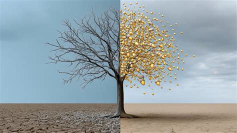 A Surreal Image Features A Tree Split Down The Middle Contrasting Two Environments Stock