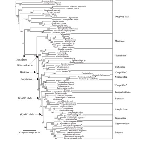 The Bi7 M Tree Bayesian Analysis Of The Combined Data Employing 7
