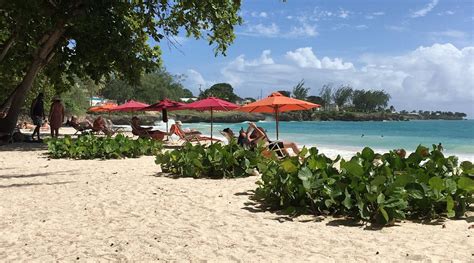 Miami Beach Barbados 2025 All You Must Know Before You Go W Reviews