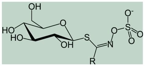 Molecular Structure Of Glucosinolate Compounds R Refers To The