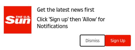 The Dismiss Button Can Be Clicked But Has No Effect Rassholedesign