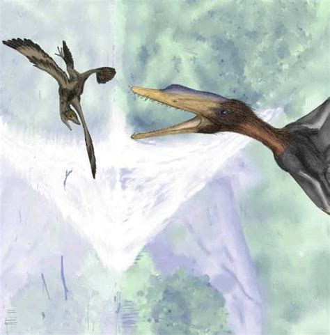 Tiny Fossil May Be Worlds Smallest Dinosaur Live Science