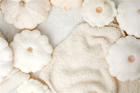 가을 구성 니트 스카프와 흰색 스쿼시 호박이 있는 여성스러운 책상 테이블 플랫 레이 상단 보기 북유럽 Hygge 아늑한 홈 컨셉 흑백 복사 공간 10월에 대한 스톡 사진 및