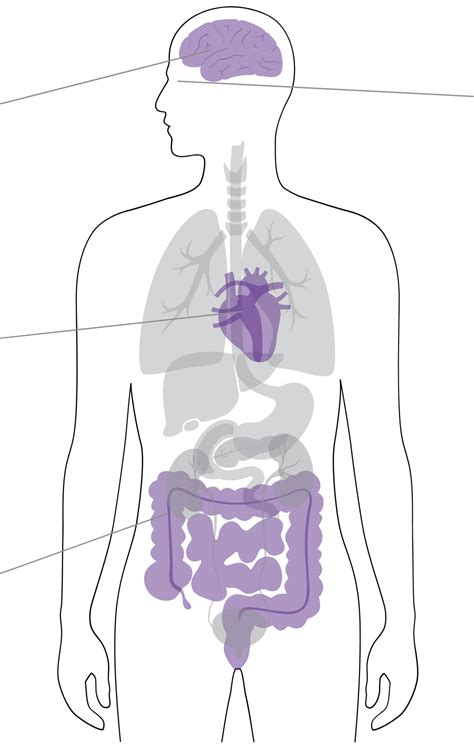 Early Recognition Of Digoxin Toxicity Diab