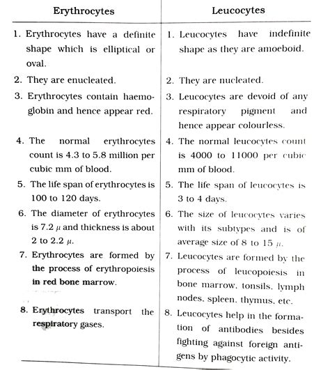 Erythrocytes And Leucocytes