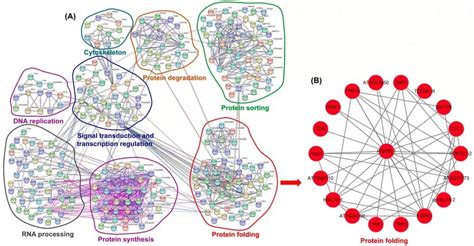 Charting The Proteome A Comprehensive Guide To Data Analysis In