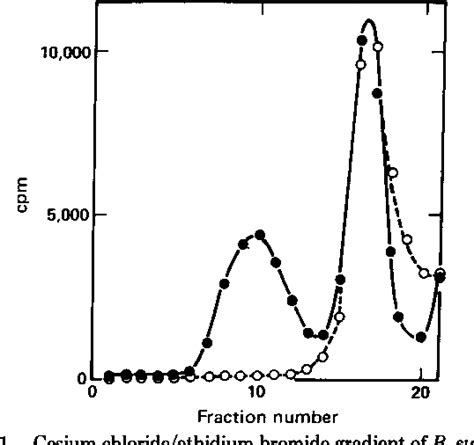 Figure From Replication And Expression Of Plasmids From Staphylococcus Aureus In Bacillus