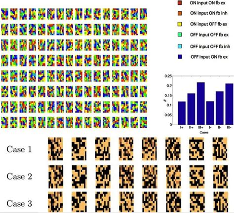 Tracking Instantaneous Feedback Routes Colors Denote The Six Different Download Scientific