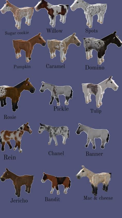 40 Swem Ideas In 2025 Minecraft Horse Horse Barn Designs Horse Barns