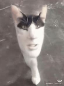 Cursed S Tenor