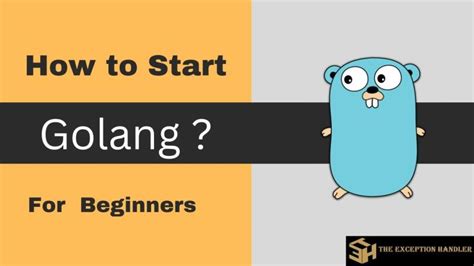 The Exception Handler On Linkedin Golang Tutorial For Beginners Go Programming Language