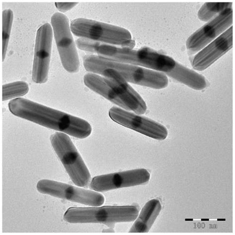 Heterojunction Nano Material Electrocatalyst And Applications Thereof