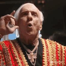 Ric Flair Woo S