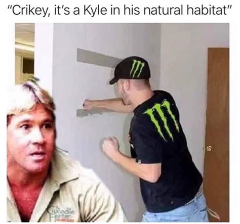 Kyle Meme