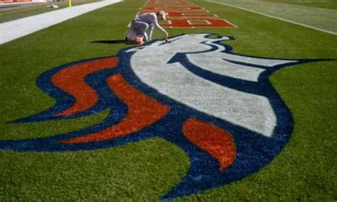 Turf Vs Grass What Is The Difference