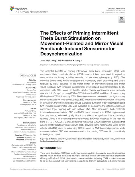 Pdf The Effects Of Priming Intermittent Theta Burst Stimulation On Movement Related And Mirror