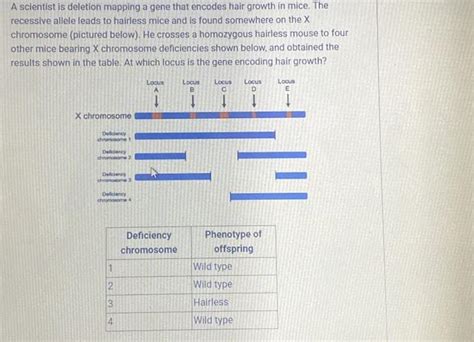Solved A Scientist Is Deletion Mapping A Gene That Encodes