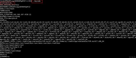 linux：进程概念（四 main函数的参数、环境变量及其相关操作） 腾讯云开发者社区 腾讯云