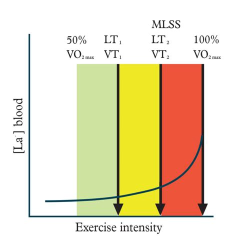 Maximal Aerobic Speed Vs Tempo Which Is Optimal Sportsmith