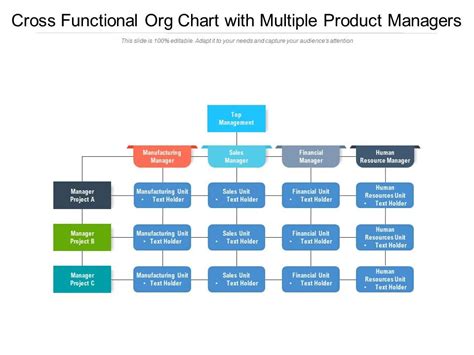 Cross Functional Org Chart With Multiple Product Managers PowerPoint