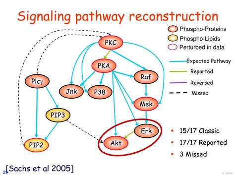 Ppt Bayesian Network Models Of Biological Signaling Pathways