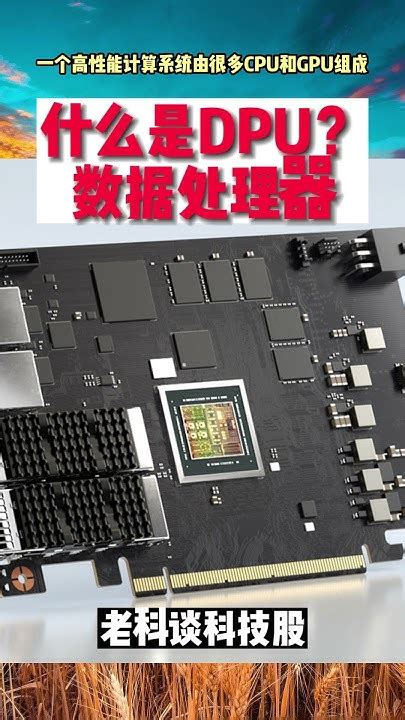 什么是dpu（数据处理器）？（cpu，gpu，dpu，dsp，mcu，soc，npu，系统讲解之dpu） Youtube