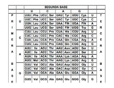 Tabla De Codigo Genetico Pdf
