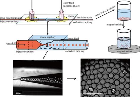 Droplet Based Microfluidic Fabrication Of Designer Microparticles For Encapsulation Applications