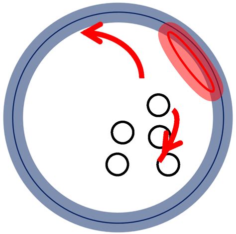 Adherent Moving Of Polymers In Spherical Confined Binary Semiflexible Ring Polymer Mixtures
