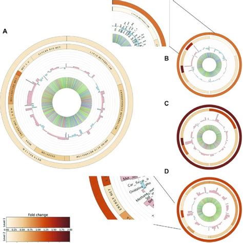 Transcriptome Profiling Of The Four Step Bj Cell Model For Malignant Download Scientific