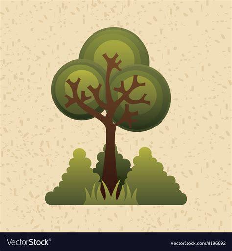 Tree Icon Design Royalty Free Vector Image VectorStock