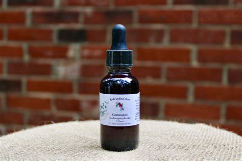 Codonopsis Root Codonopsis Pilosula Tincture Herb Extract Double Ext