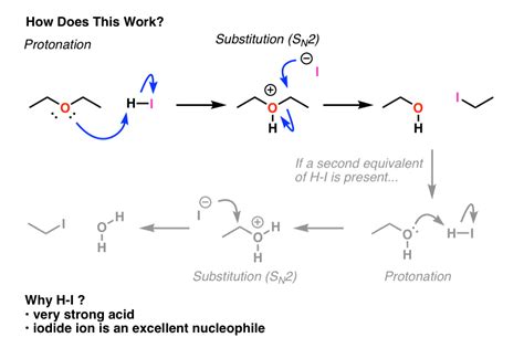 Cleavage Of Ethers With Acid Master Organic Chemistry