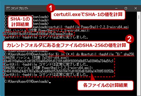 certutil hashfile