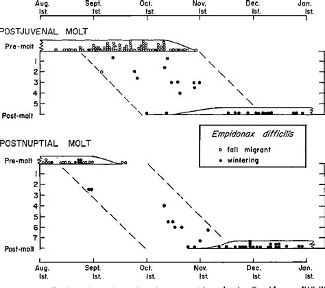 Figure 1 From Molt And Age Determination In Western And Yellowish Flycatchers Semantic Scholar