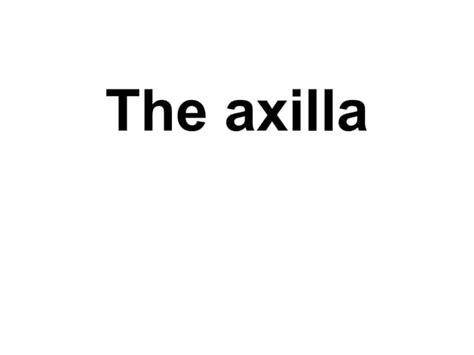 Anatomy Of Axilla Pptx