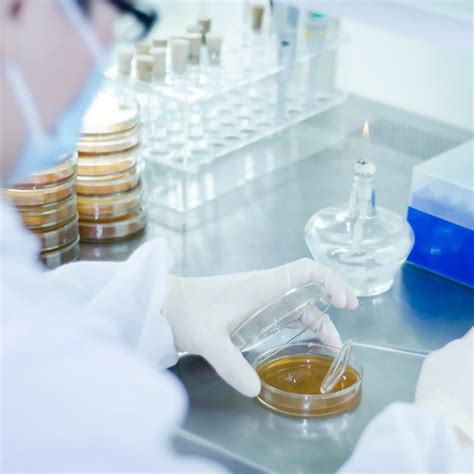 Antibacterial Testing Laboratory Microbe Investigations